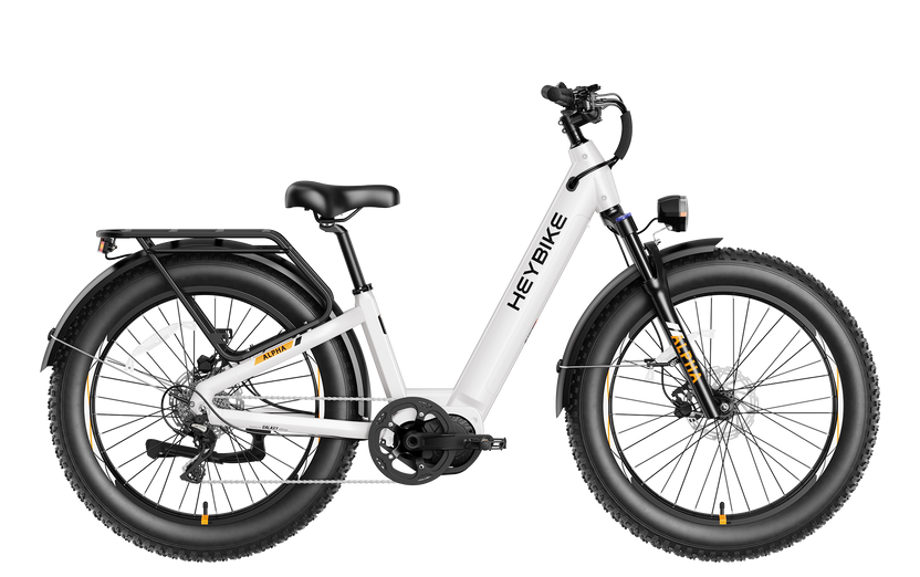 5 Best Electric Bikes for Heavy Riders in 2025 – Heybike