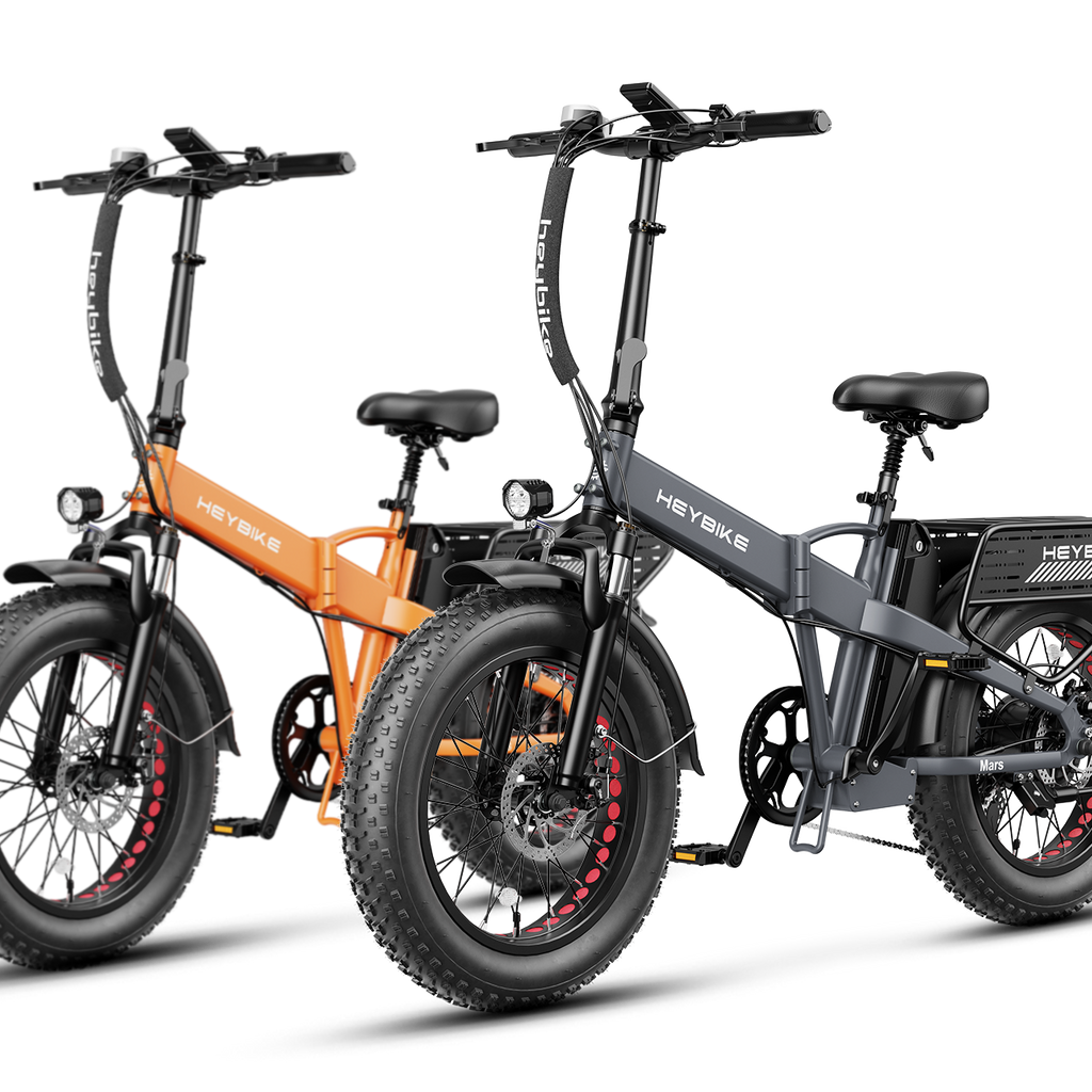 Mars 2.0 750W-Combo - eBikersDen