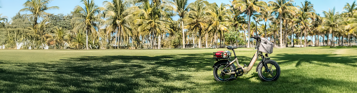 Electric Bike Components | HEYBIKE – Heybike